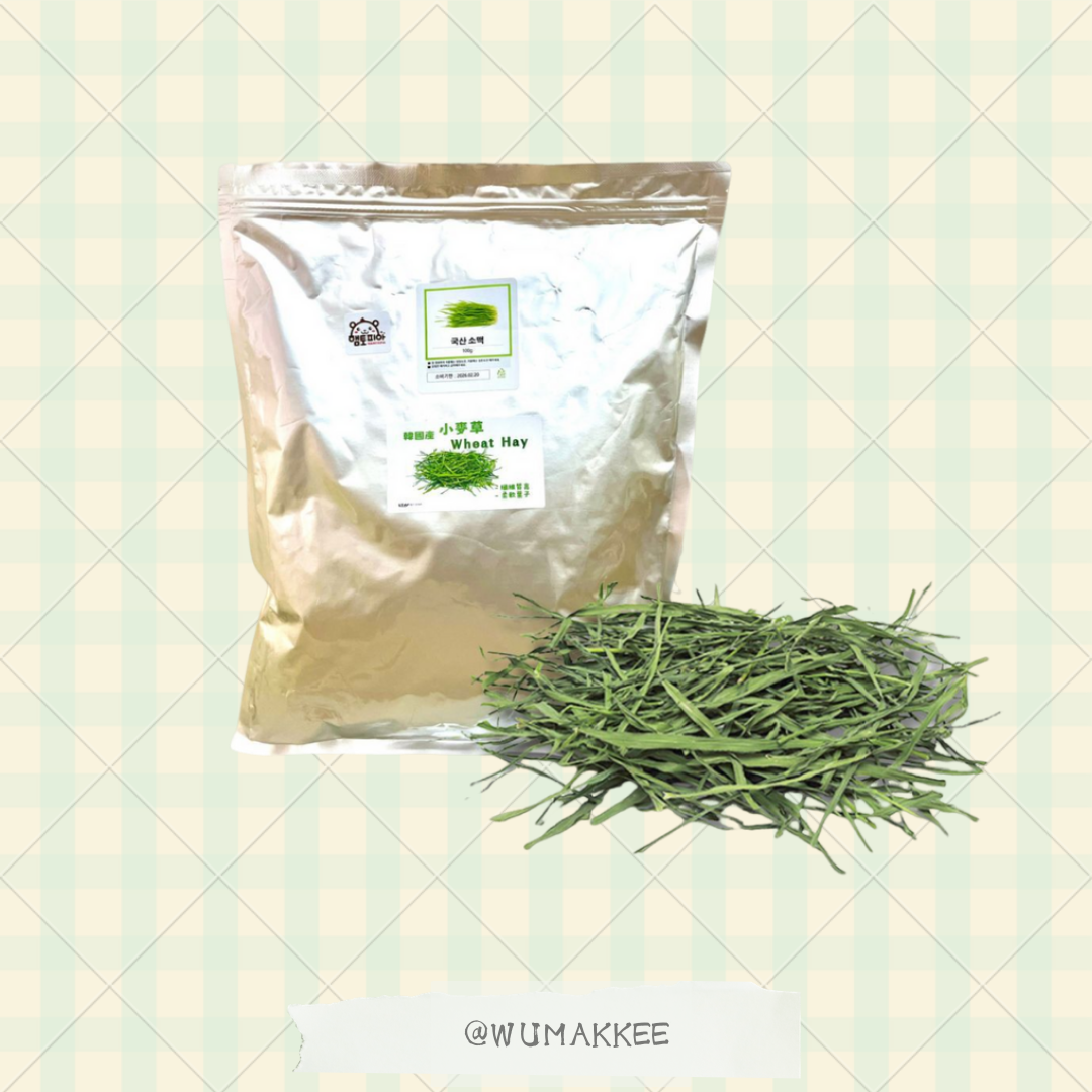 韓國產 HAMTOPIA 小麥草 100g – WuMakKee